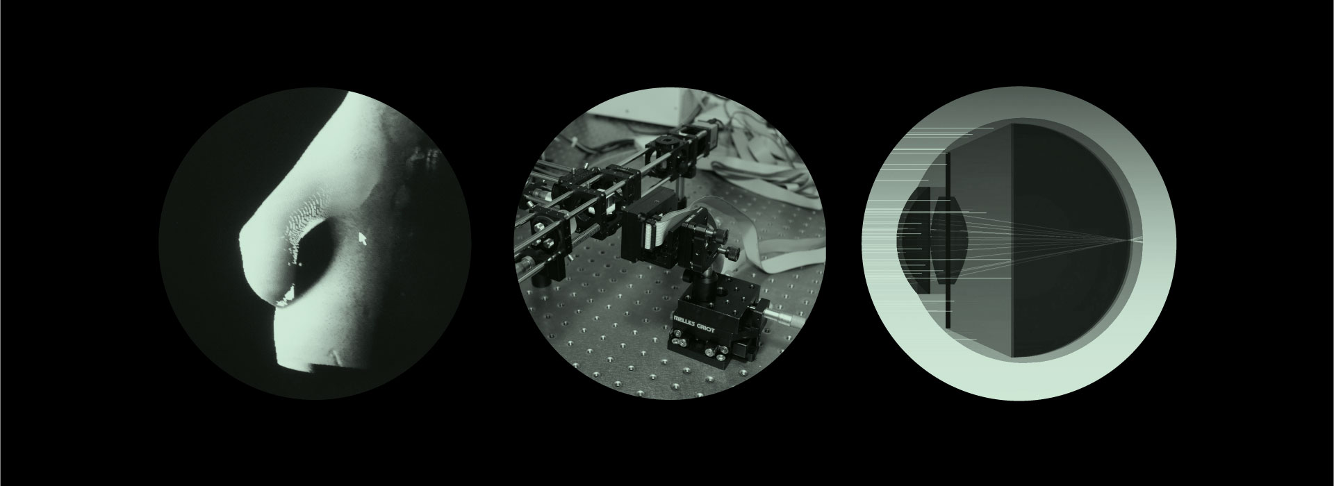 Terapia do cancro e administração de fármacos - IBEB